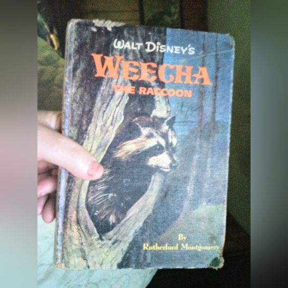 Disney | Other | Vintage 96 Walt Disney Book Weecha The Raccoon | Poshmark